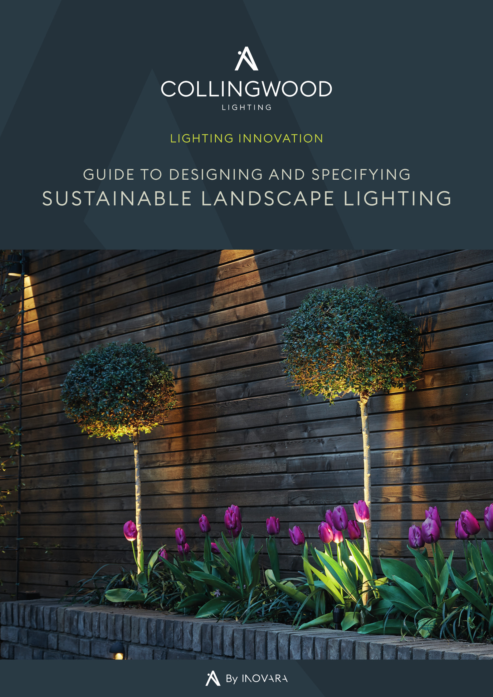 Collingwood publishes sustainable landscape lighting design guide ...